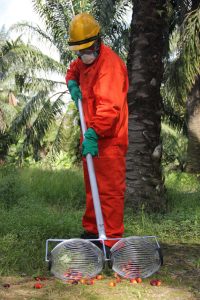 ST Loose Fruit Collector - SiriTulin